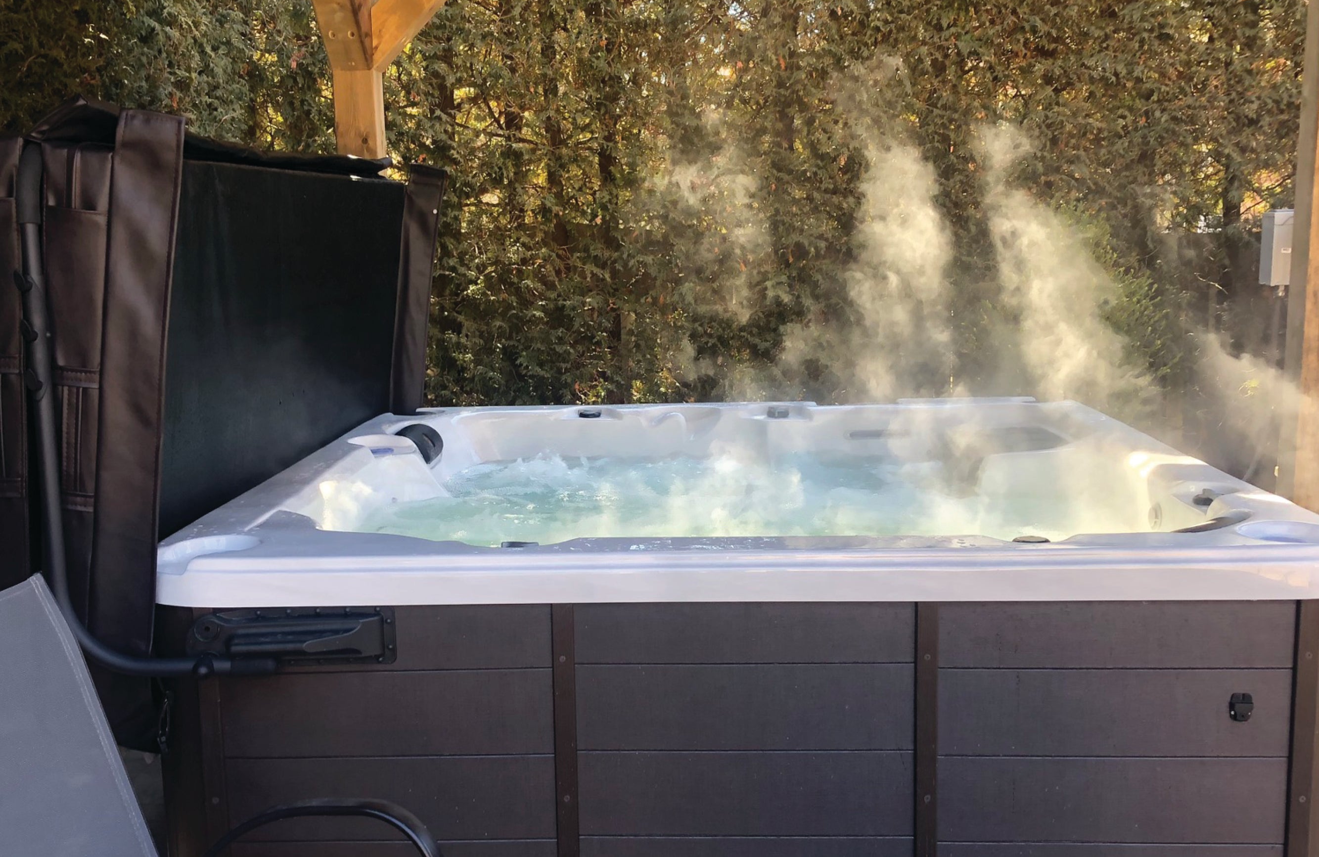 Black Ice: Luxury Plug & Play Spas (120V) – Canadian Spa Company